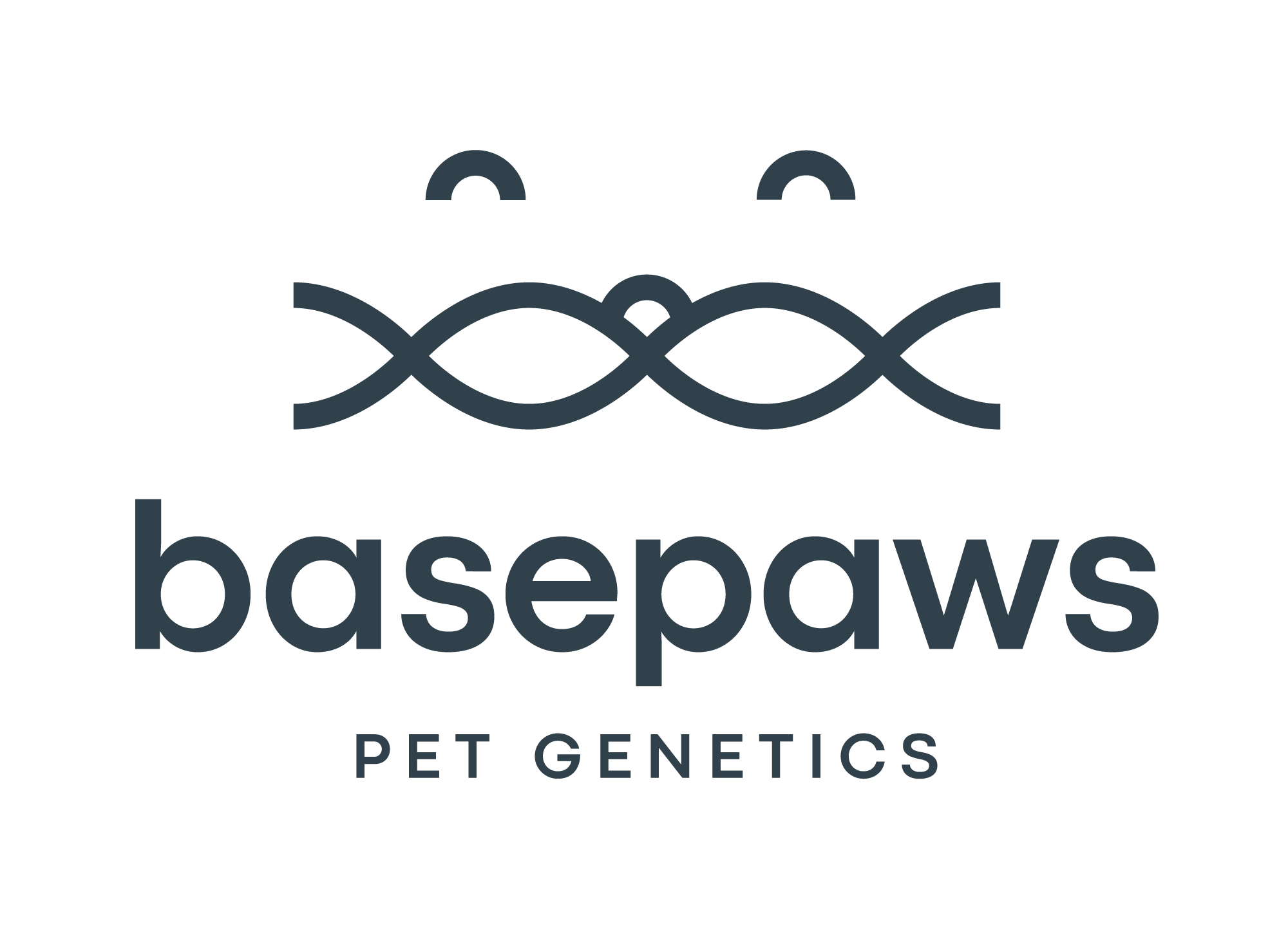 Basepaws Kisaco Research