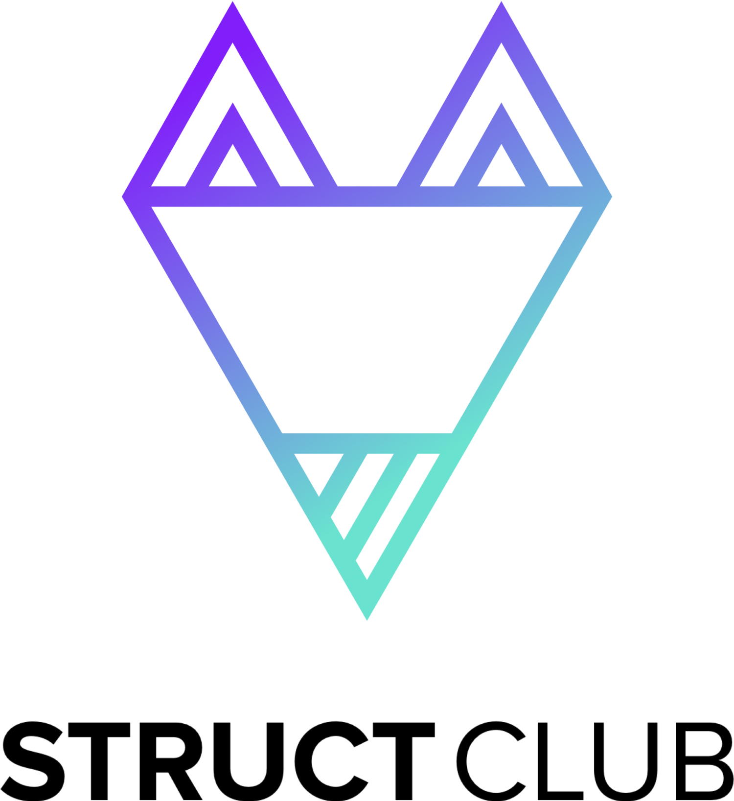 Struct Club Logo | Kisaco Research
