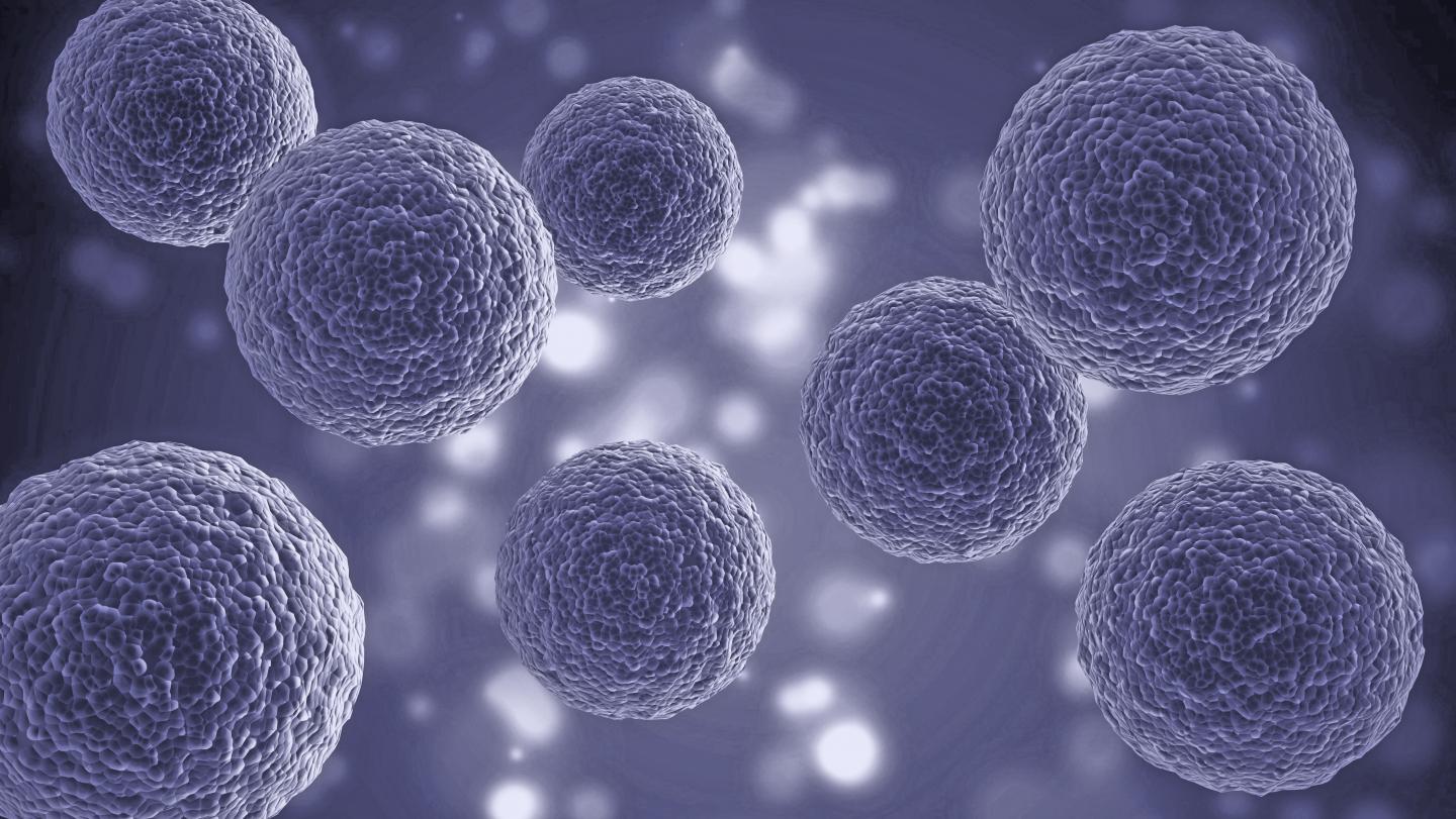 3D Cell Models Congress 2018