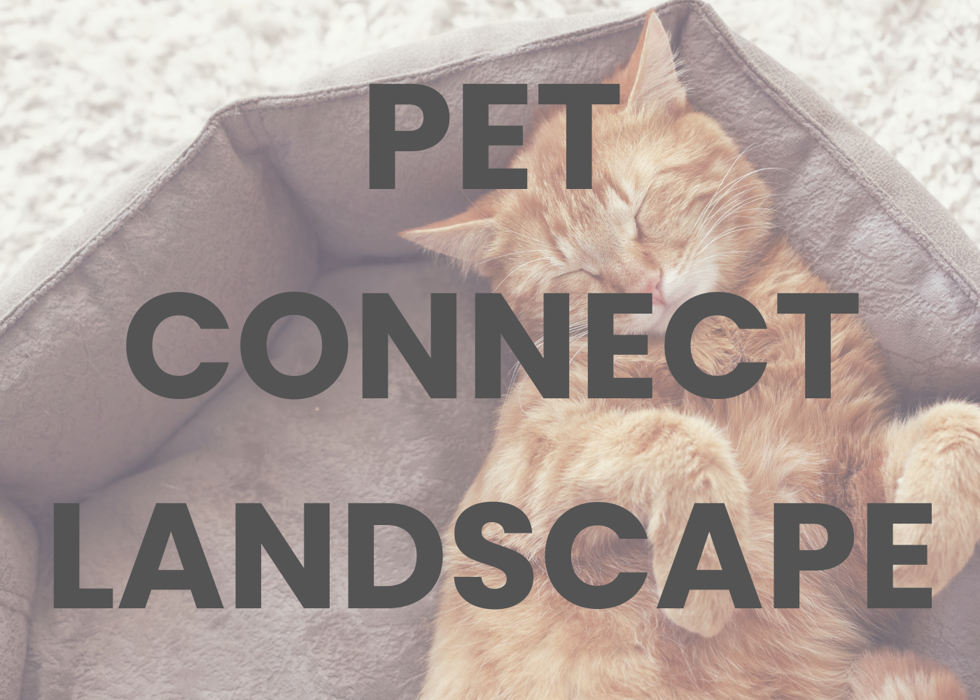 Resources | Kisaco Research