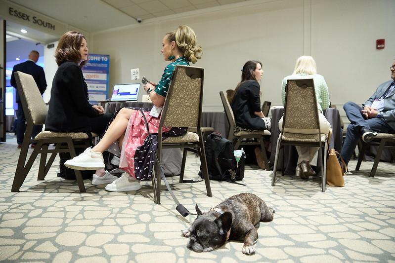 The Veterinary Experience (USA Website) | Kisaco Research