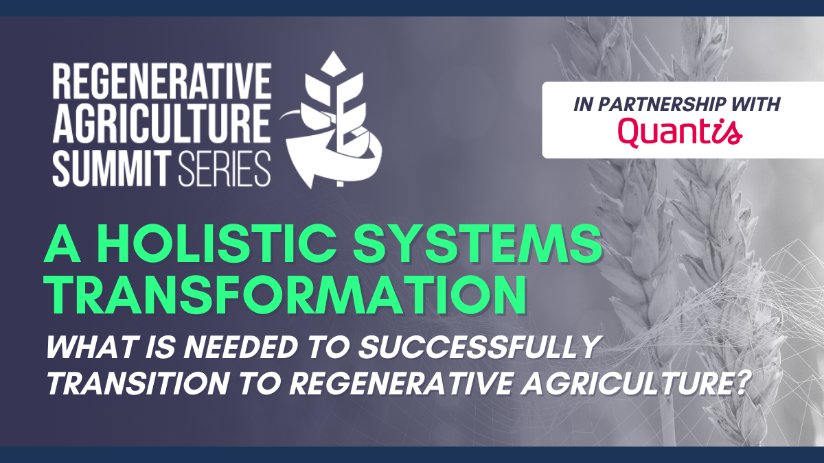 A Holistic Systems Transformation: What is needed to successfully ...